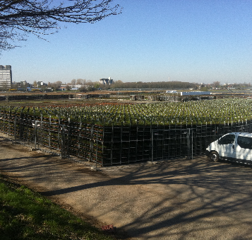 GGN - CERTIFIED FLORICULTURE